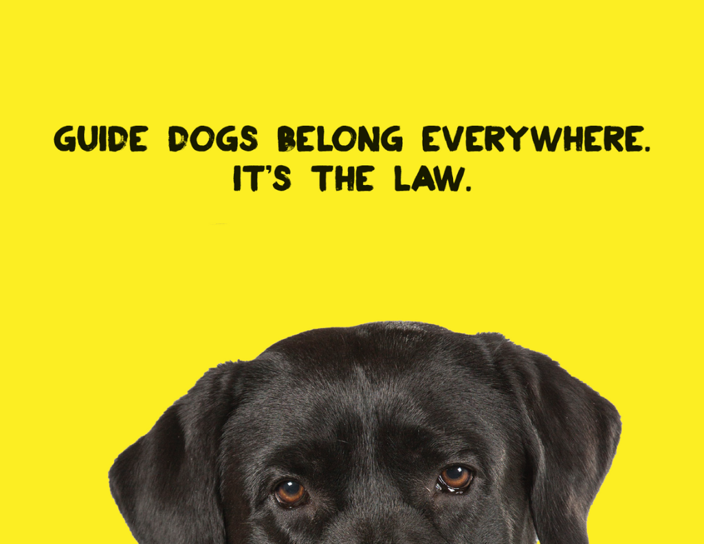 CNIB Guide Dogs | CNIB
