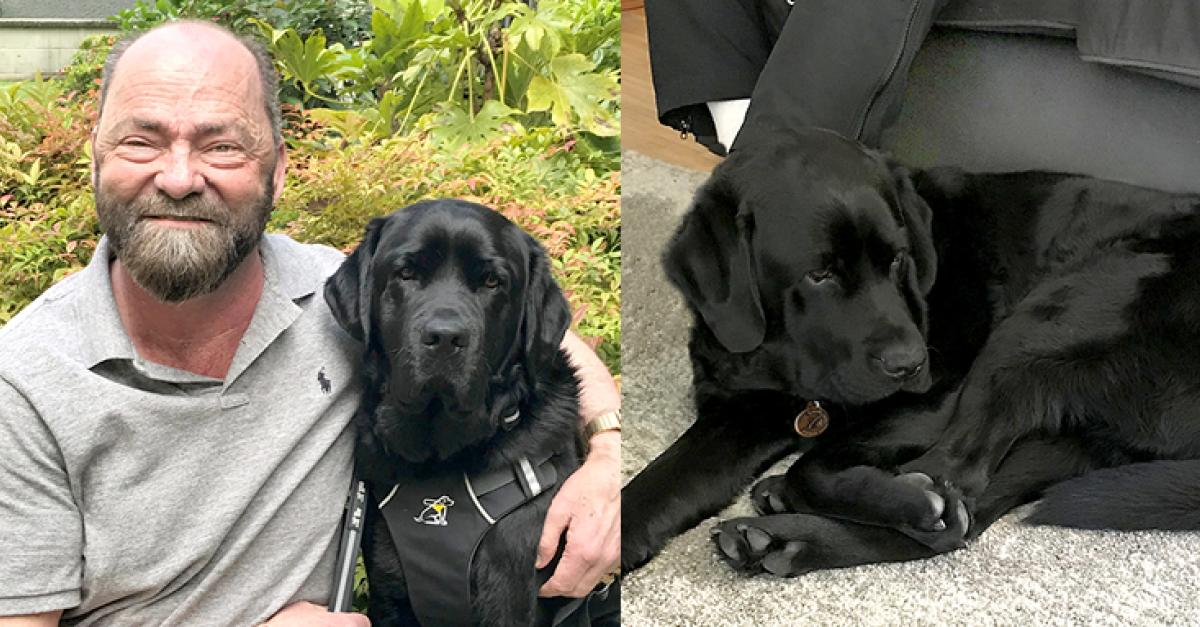 Humans with CNIB Guide Dogs: Mike & Eric | CNIB