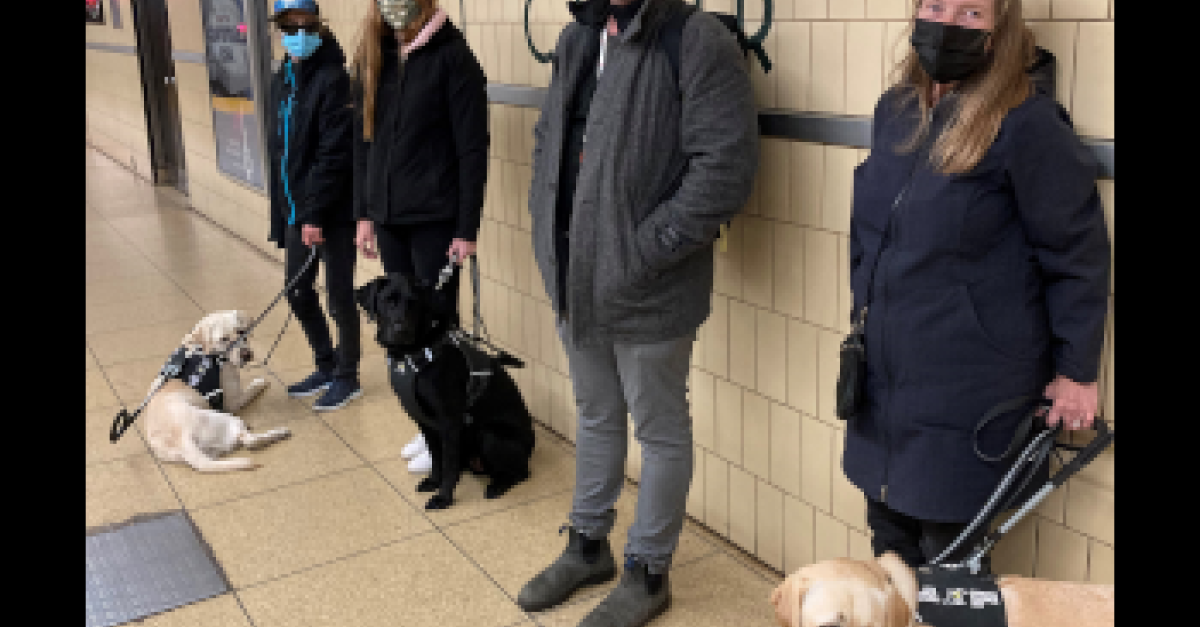 Inside Scoop: CNIB Guide Dogs introduce unique class concept | CNIB