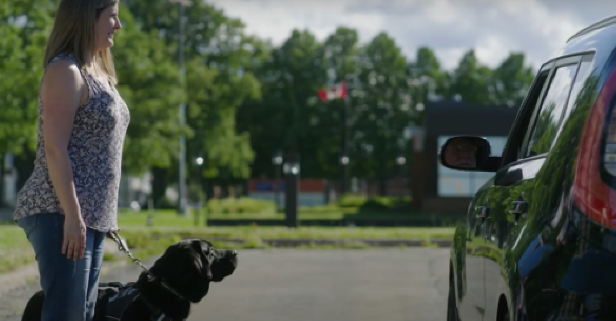 Guide Dog Access Awareness Month 2023 | CNIB