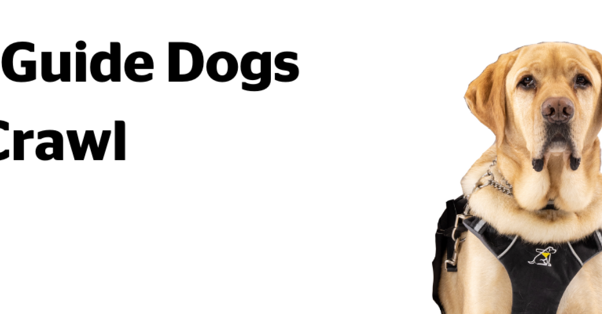 Save the date for the fifth annual CNIB Guide Dogs Pup Crawl! | CNIB