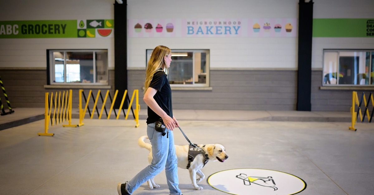How CNIB’s Indoor City Prepares Guide Dogs for the Real World | CNIB