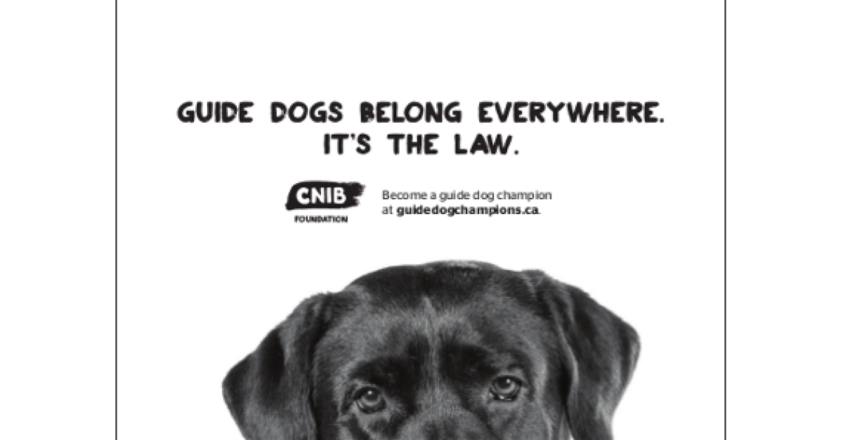 Guide dogs and their handlers belong everywhere – it's the law | CNIB