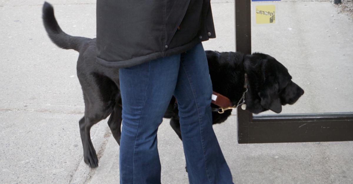 Guide dog access to public places and services | CNIB