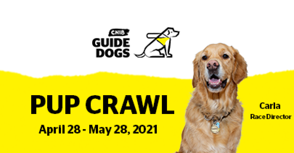 Second annual virtual 5-km "Pup Crawl" to raise funds for CNIB Guide ...
