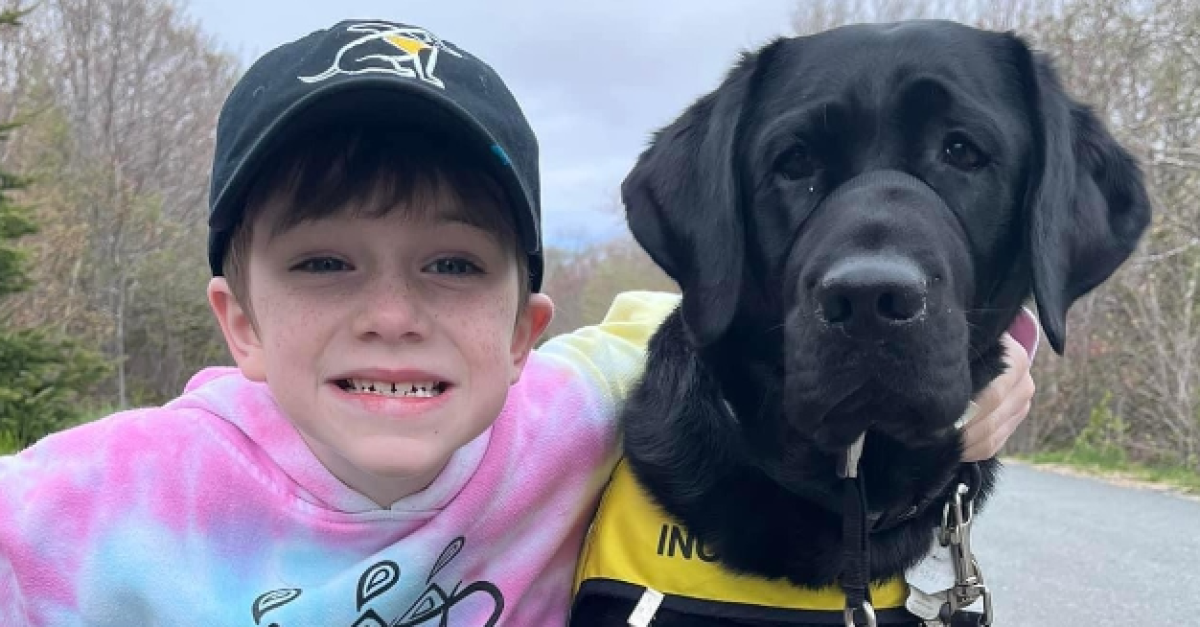 The 2025 CNIB Guide Dogs Pup Crawl Has Officially Begun! | CNIB