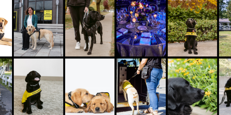 CNIB Guide Dogs | CNIB